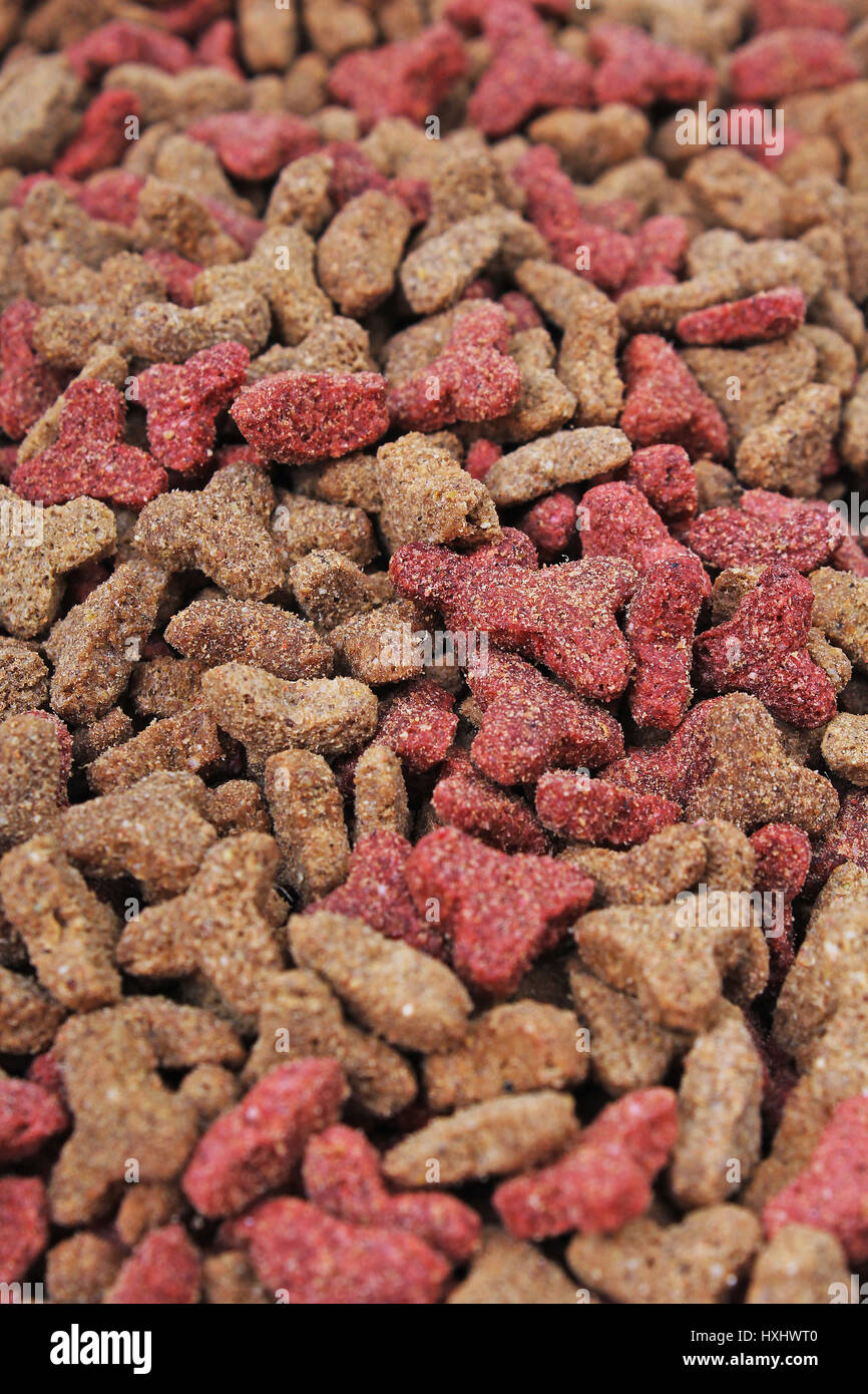 Cat food, granule, as background. Cat food texture pattern. Dry pet ...