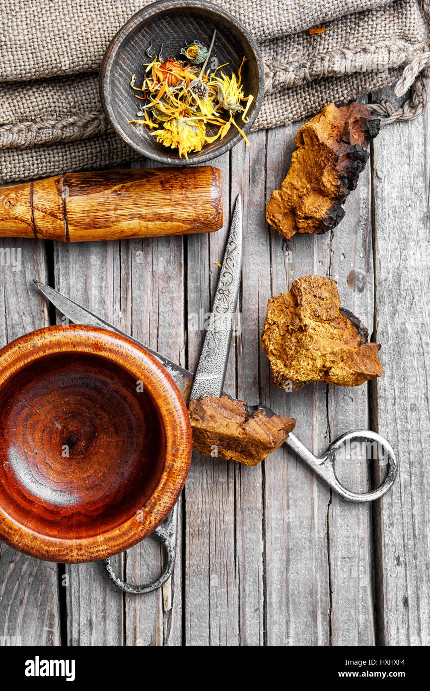 Dried chaga hi-res stock photography and images - Alamy