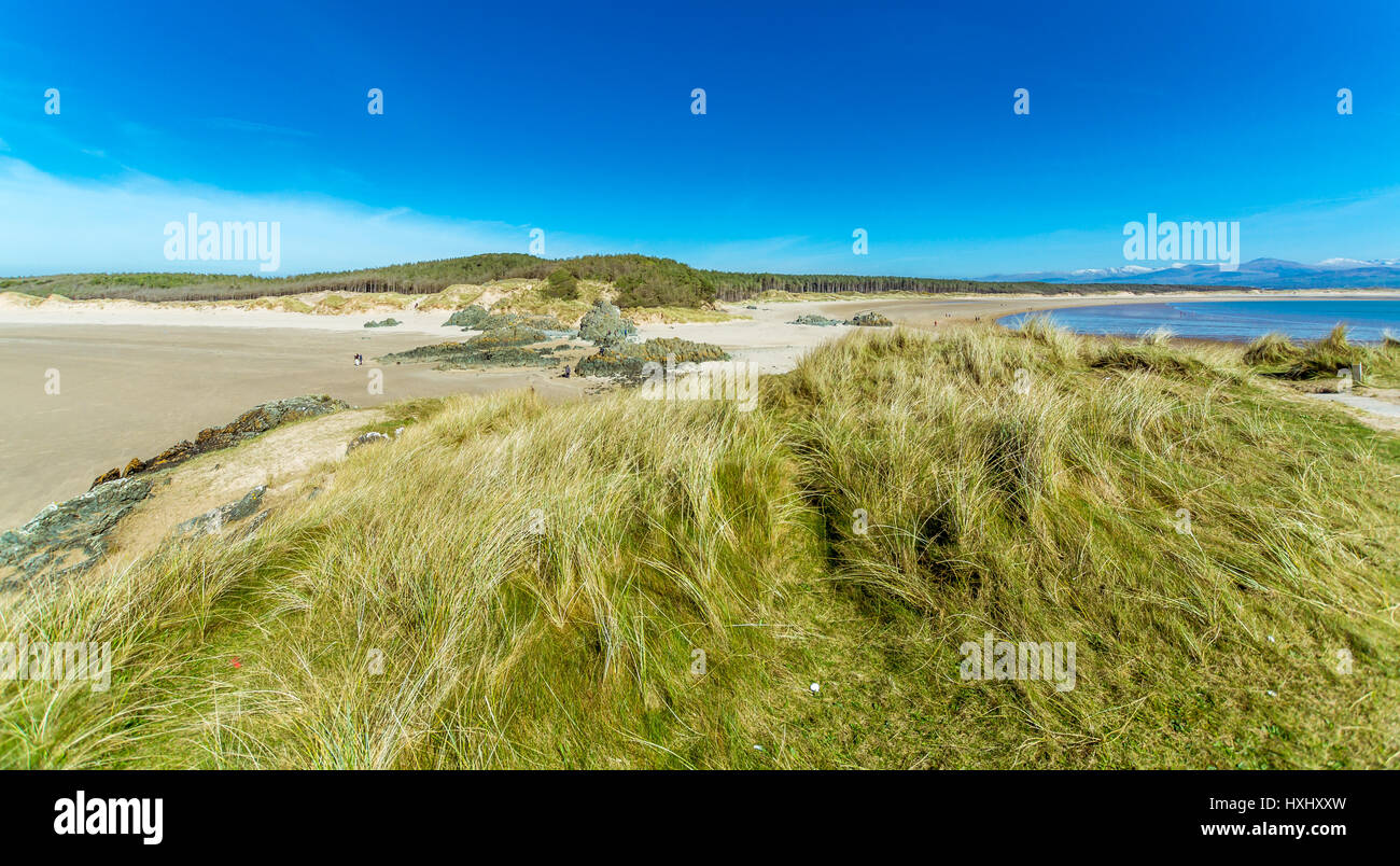 A view of Malltraeth/Llanddwyn beaches with Newborough forest in the ...