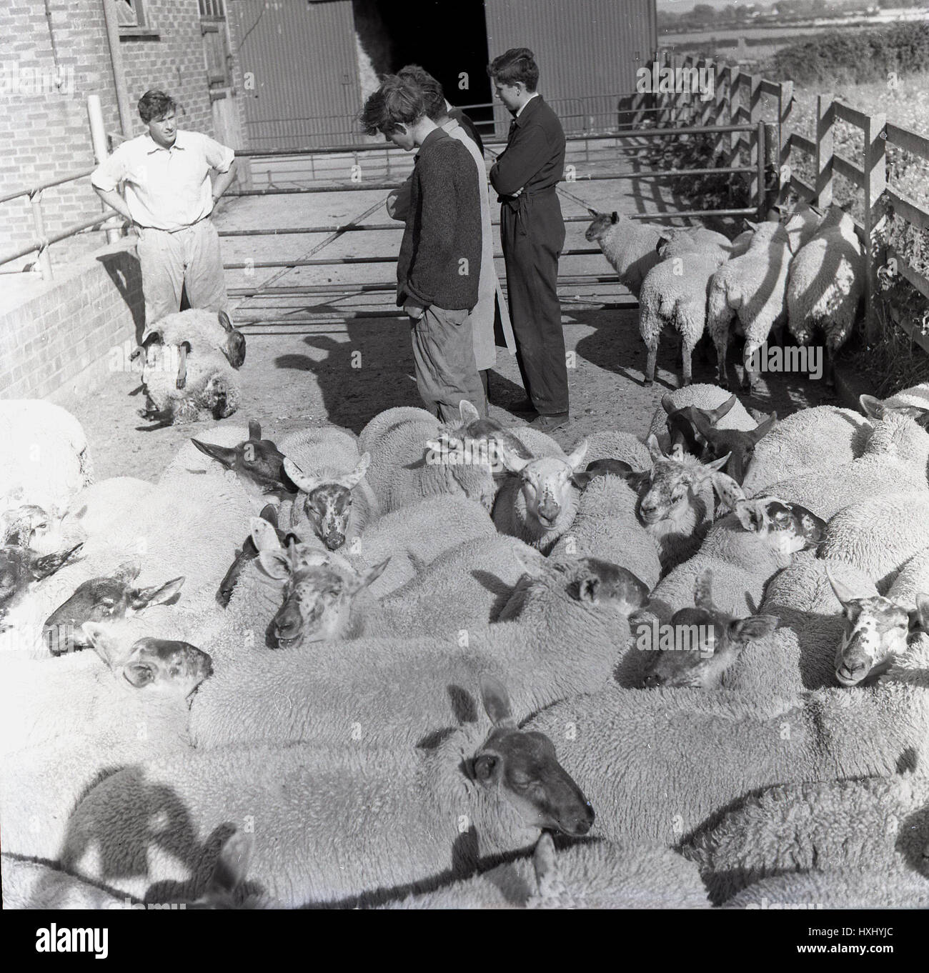 1960s, historical, young male agricultural students with teacher and a ...