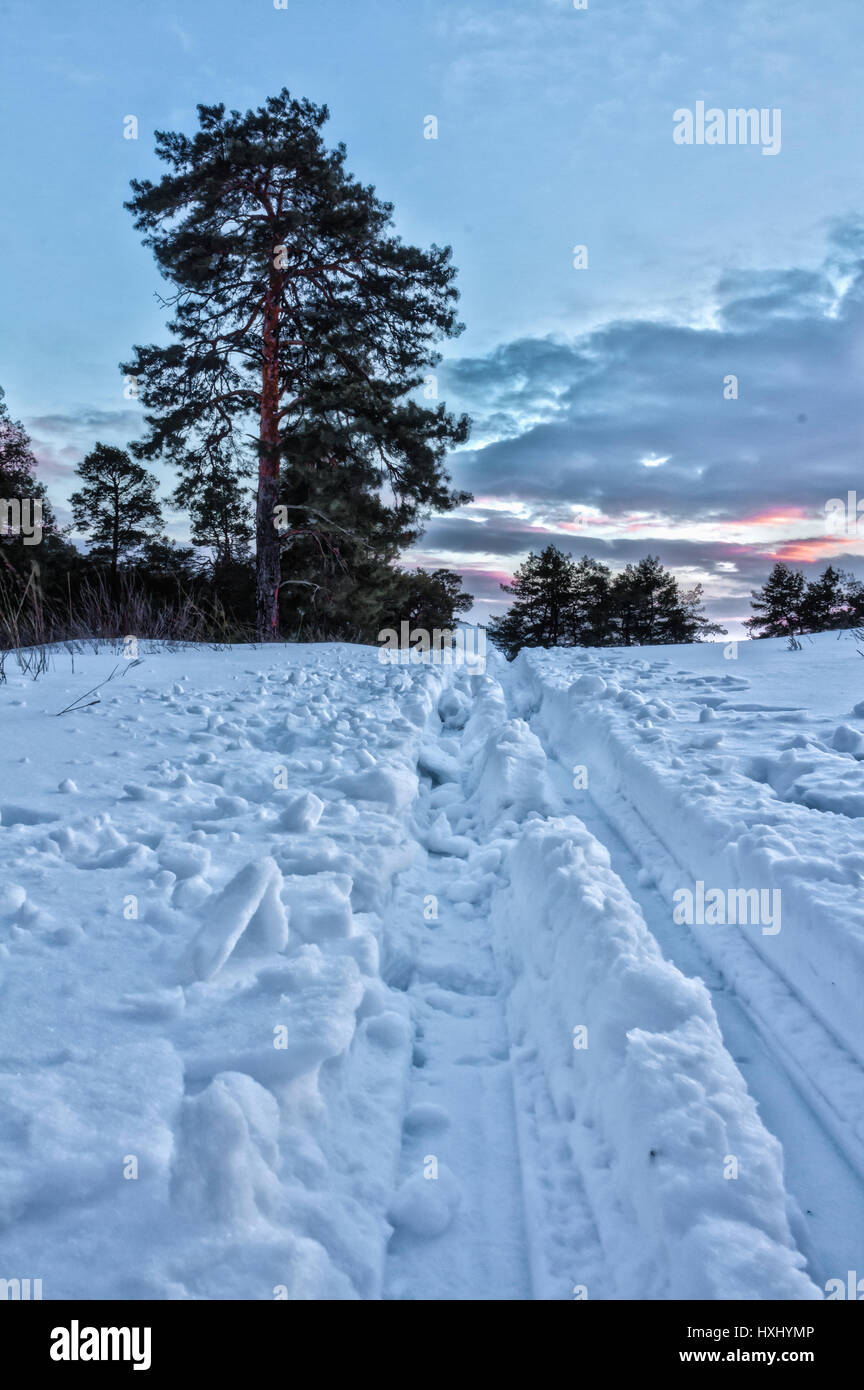 A cross-country track passes over a lake in sunshine. Forest and trees ...