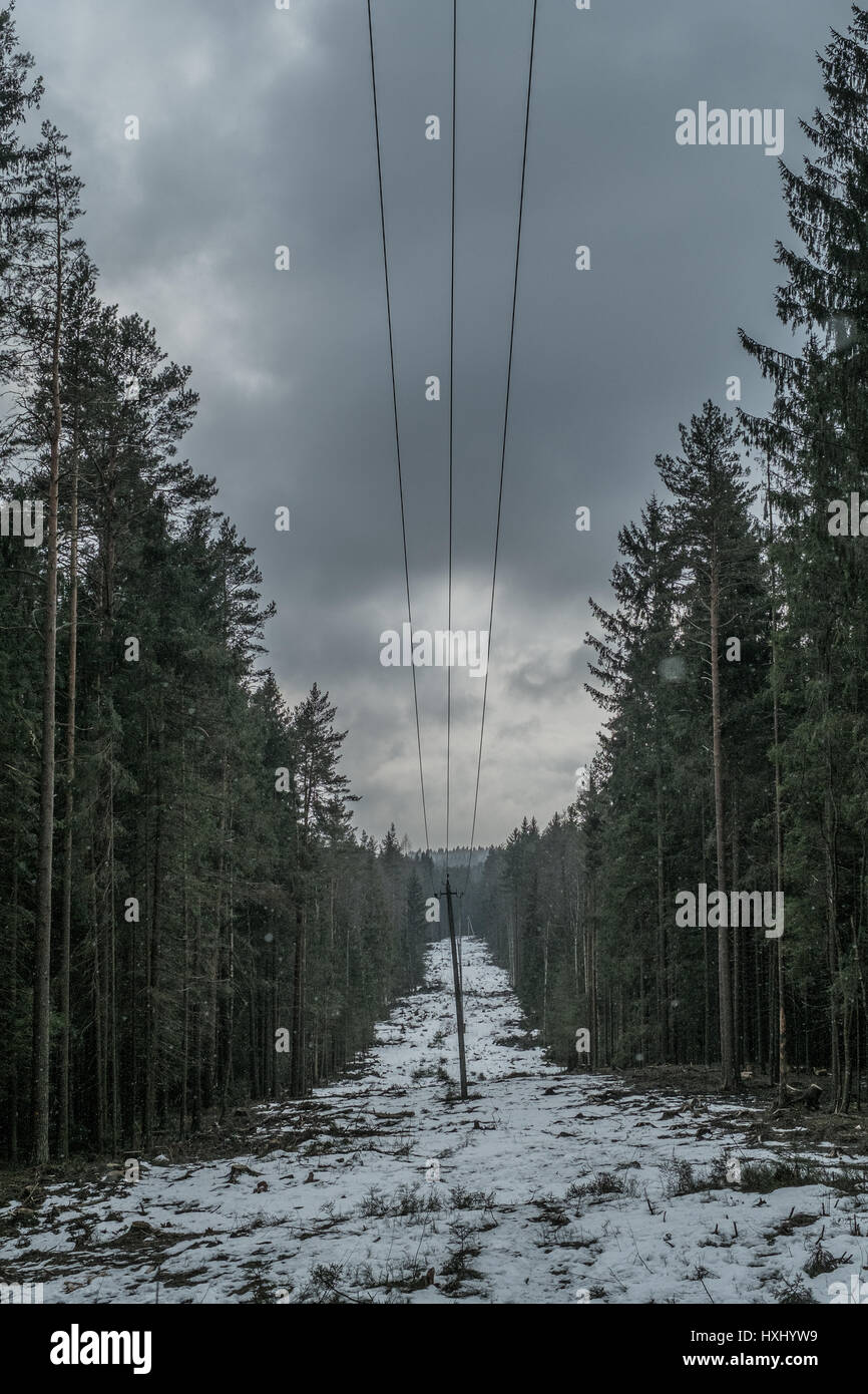 Strings of the winter forest with cloudy sky Stock Photo - Alamy