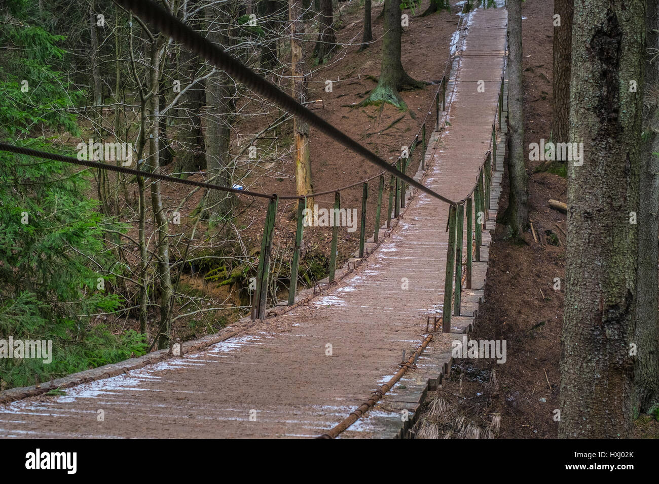 Hanging bridge. Suspension bridge, bridge through the forest Stock ...