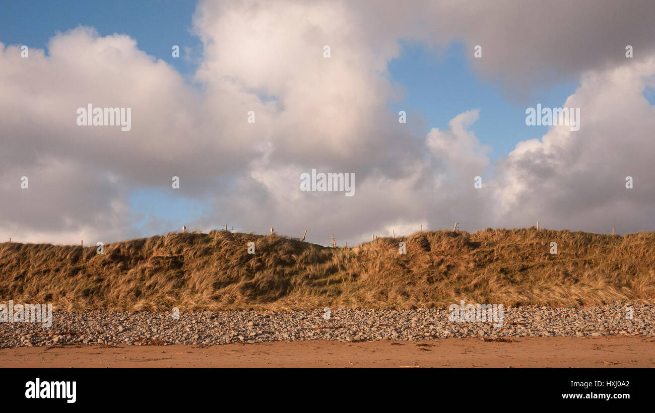 Irish texture hi-res stock photography and images - Alamy