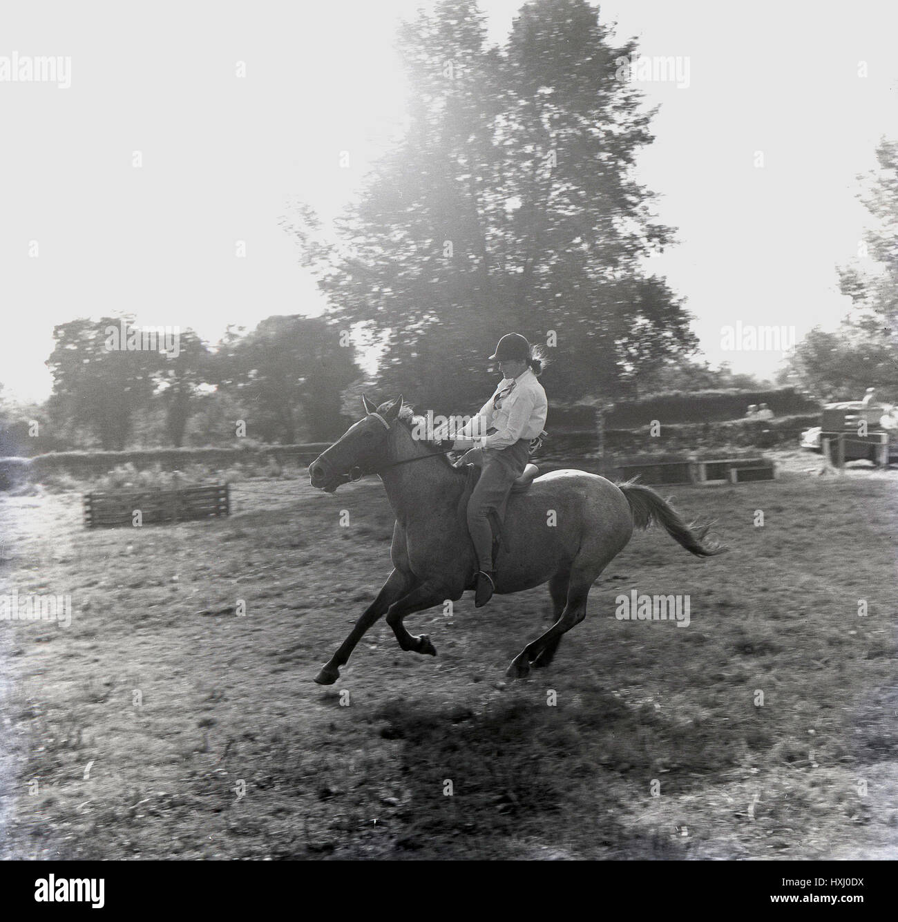 Lady riding a horse hi-res stock photography and images - Alamy
