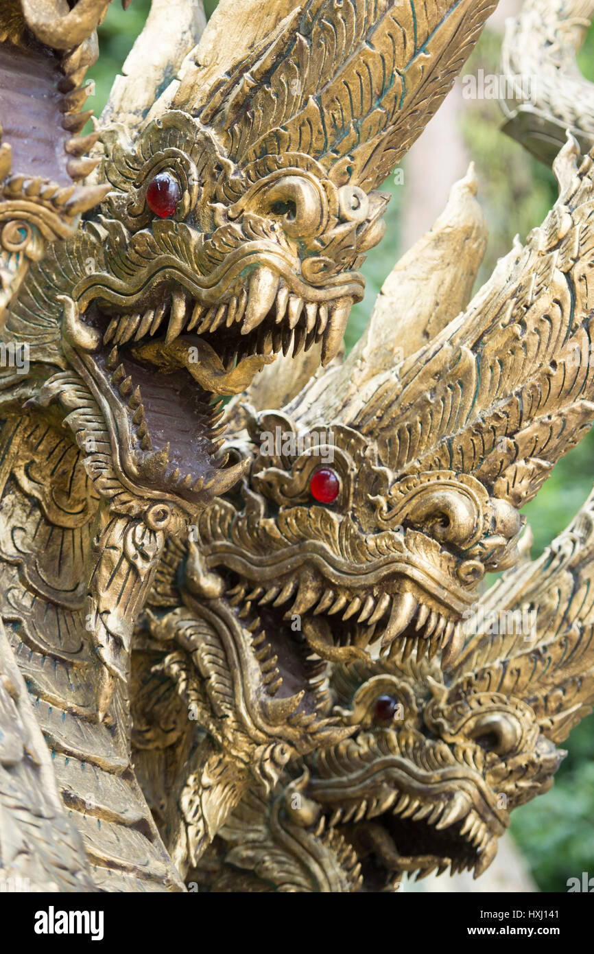 the wat tham pla or monkey cave temple near the town of Mae Sai in ...