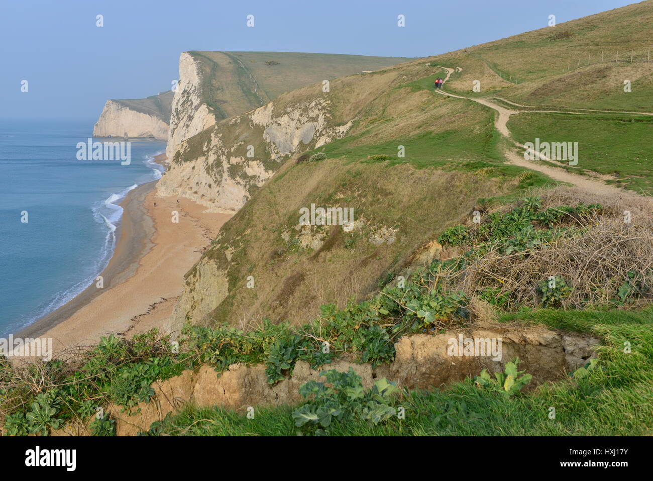 Beach and cliff areas near Durdle door in Dorset Stock Photo - Alamy