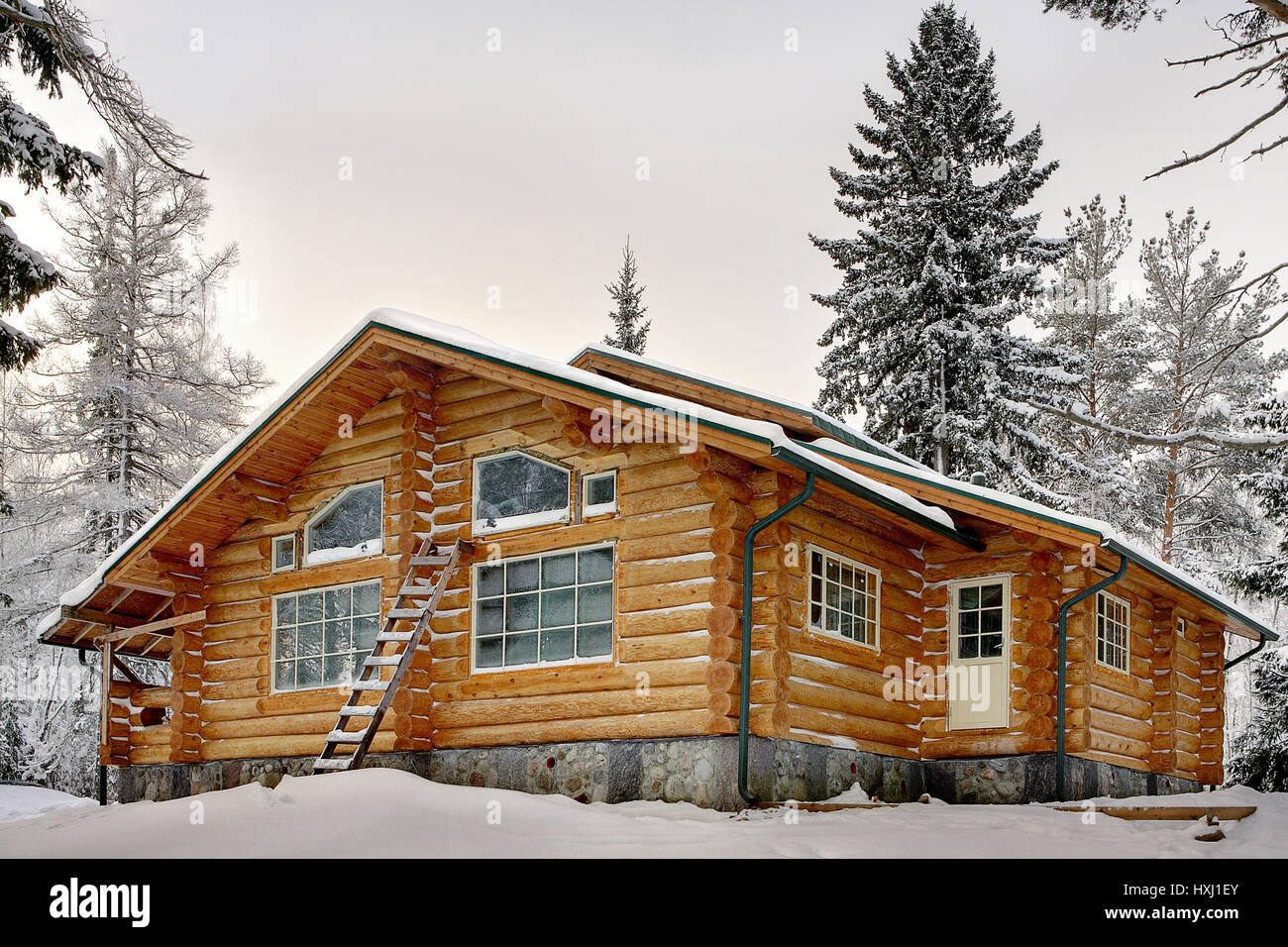 Modern handmade log house with large windows covered in snow during ...