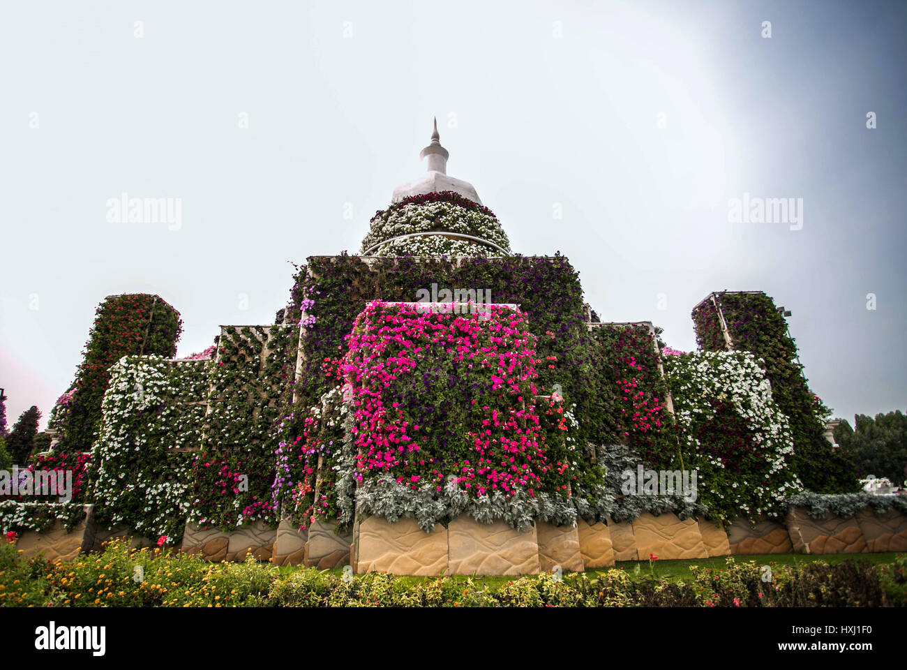 Flowers Miracle Garden in Dubai, United Arab Emirates Stock Photo - Alamy