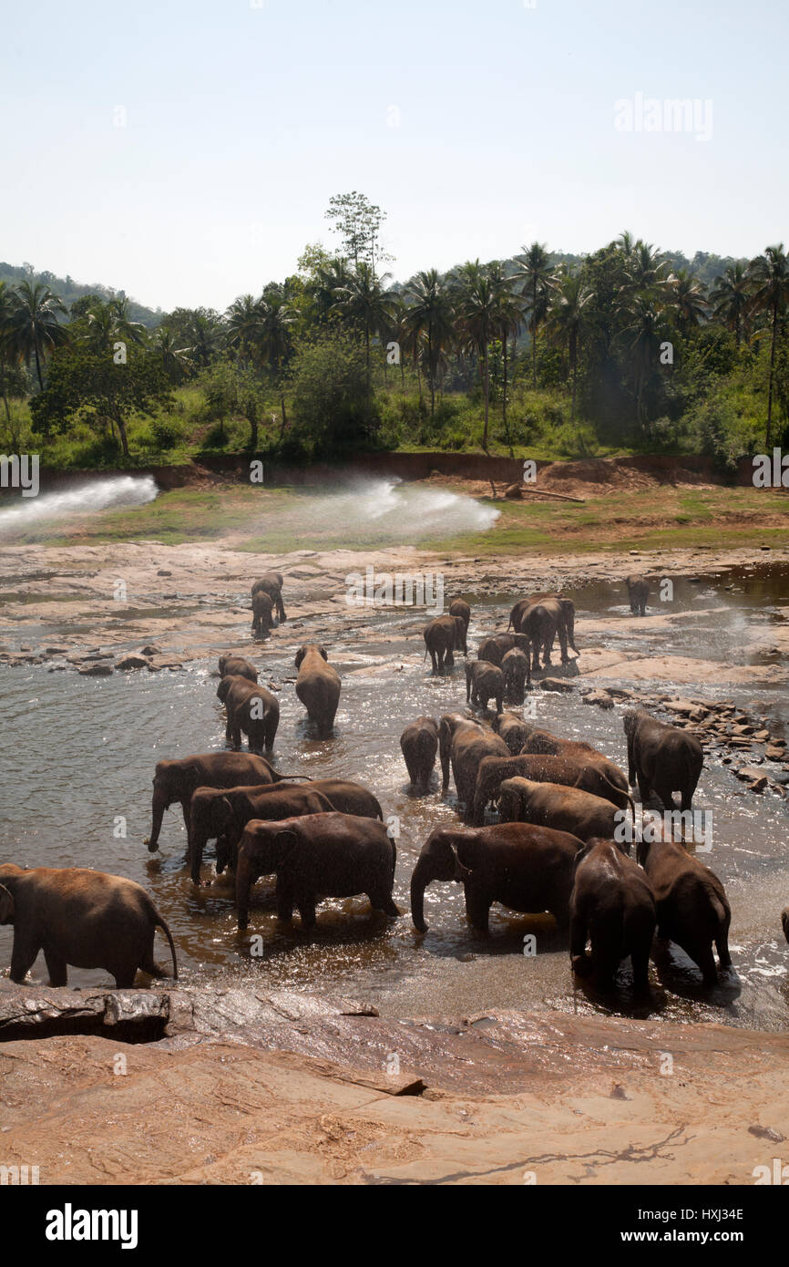 Ma Oya High Resolution Stock Photography and Images - Alamy