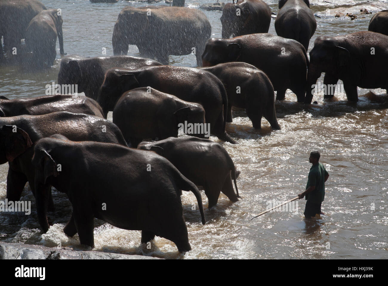 Ma oya hi-res stock photography and images - Alamy