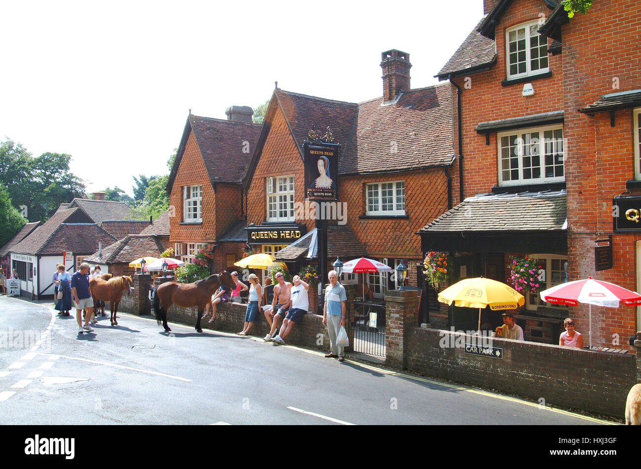 New Forest Ponies in the village of Burley, Hampshire, England Stock ...