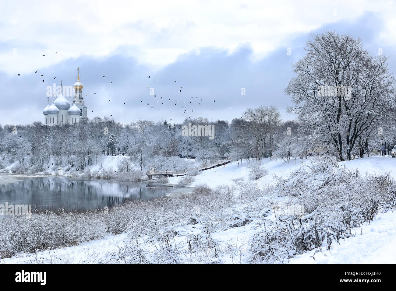 winter snow on tree city dome Stock Photo - Alamy