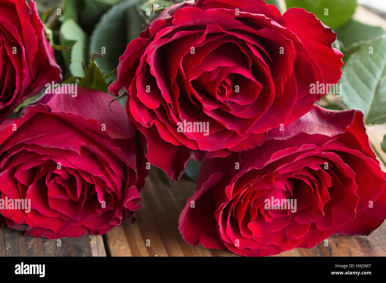 Bouquet of Red Roses Close Up Stock Photo - Alamy