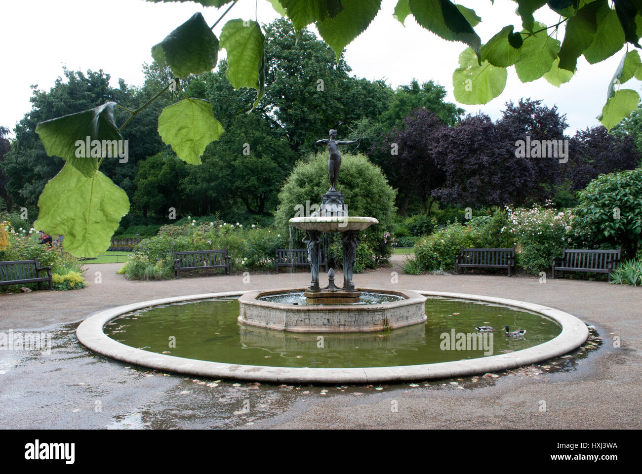 Feodora countess of hi-res stock photography and images - Alamy