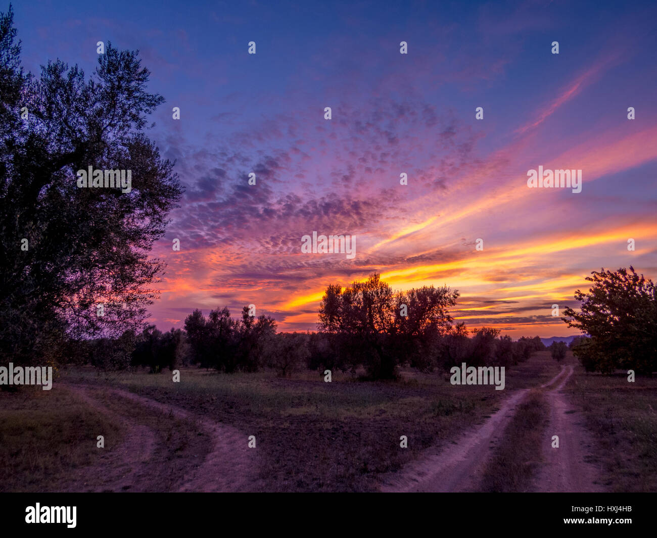 Amazing sunset in countryside Stock Photo - Alamy