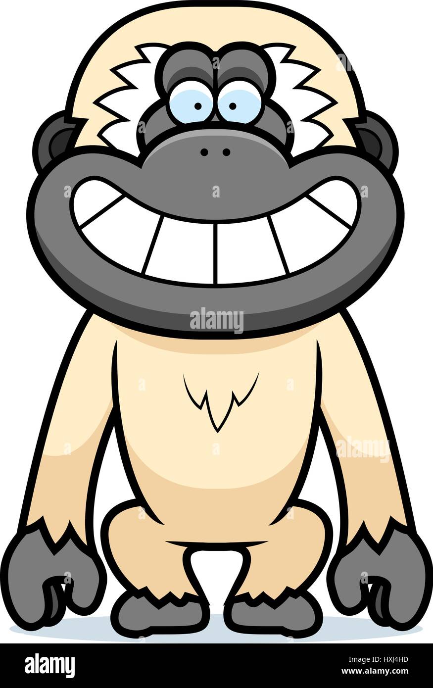 Cartoon Smiling Gibbon High Resolution Stock Photography and Images - Alamy