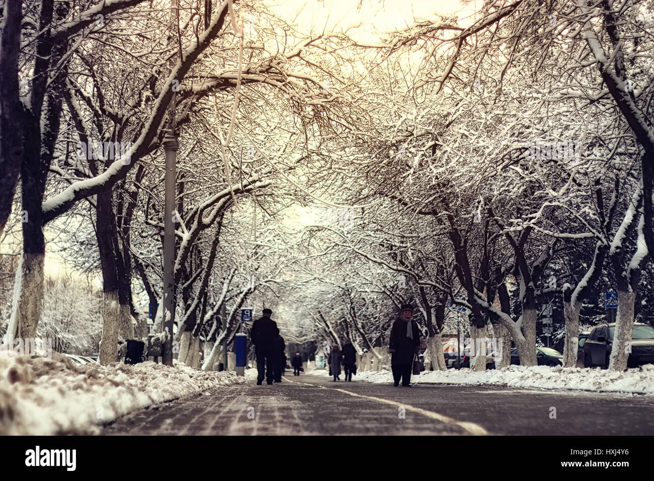 pedestrian pathway tree winter Stock Photo - Alamy