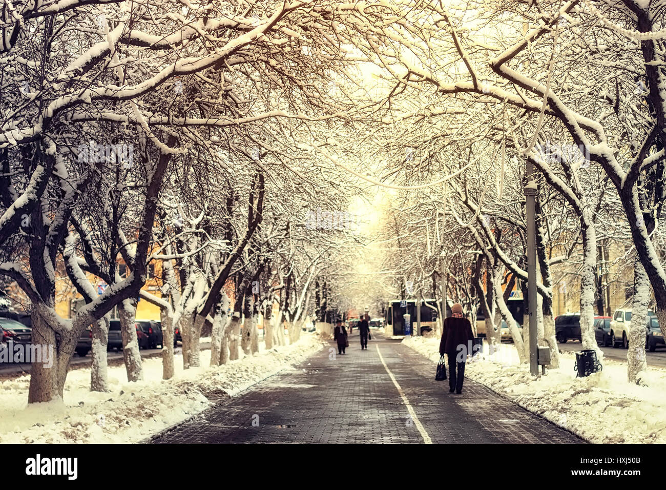 pedestrian pathway tree winter Stock Photo - Alamy