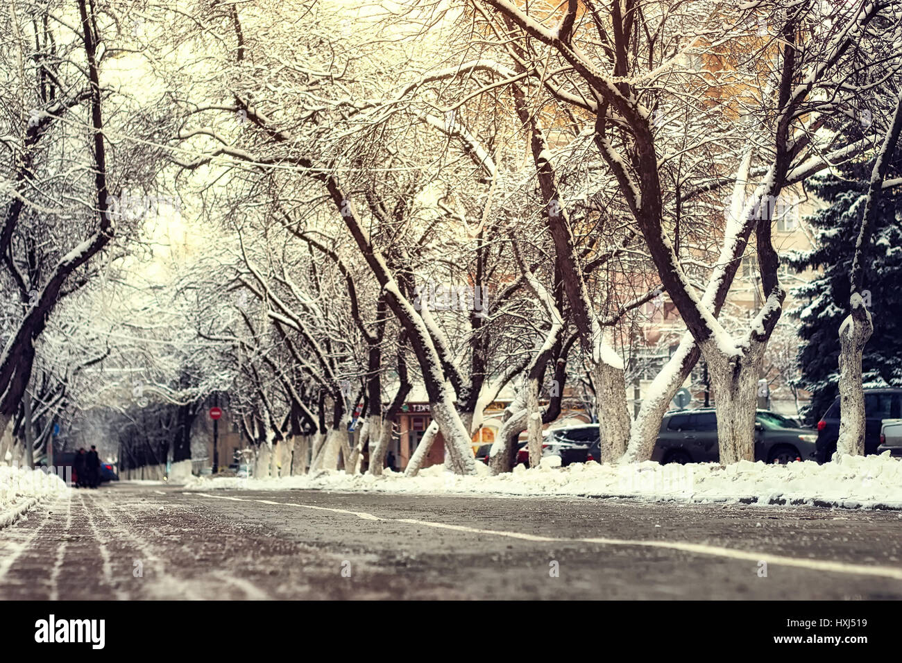 pedestrian pathway tree winter Stock Photo - Alamy