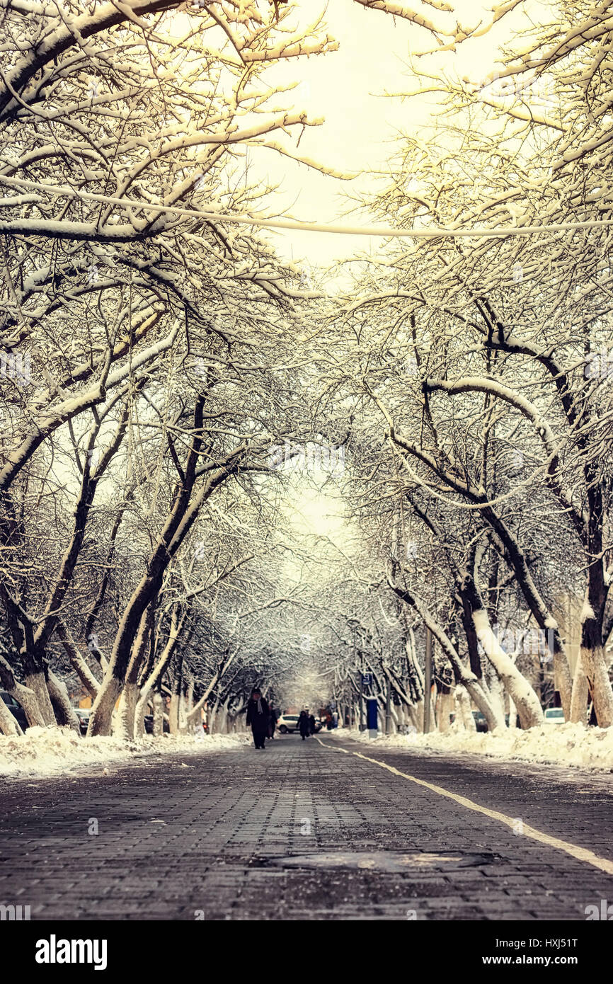 pedestrian pathway tree winter Stock Photo - Alamy