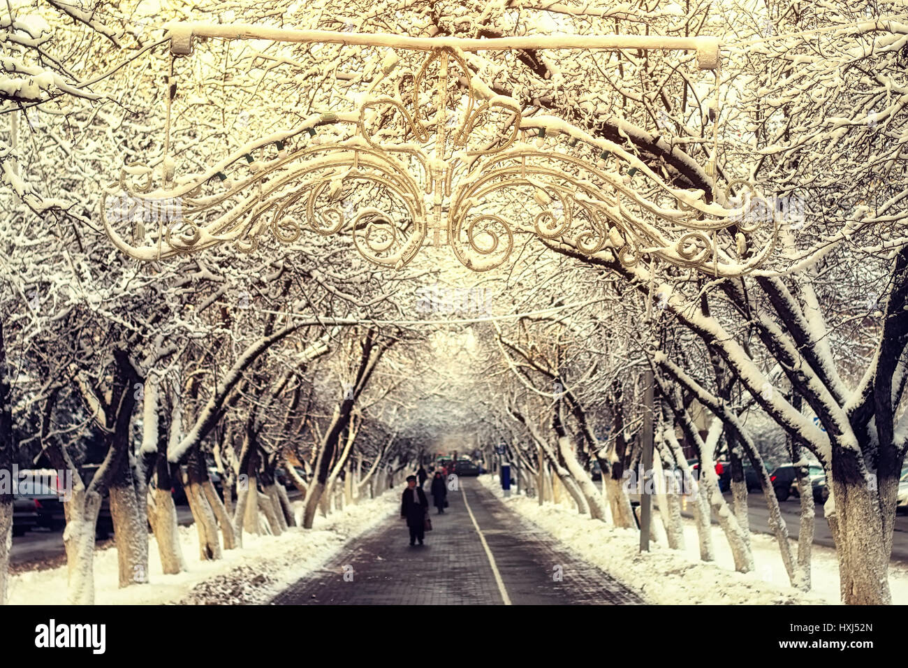 pedestrian pathway tree winter Stock Photo - Alamy