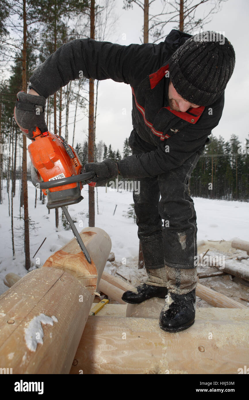 Leningrad Region, Russia - February 2, 2010: Building the log walls ...