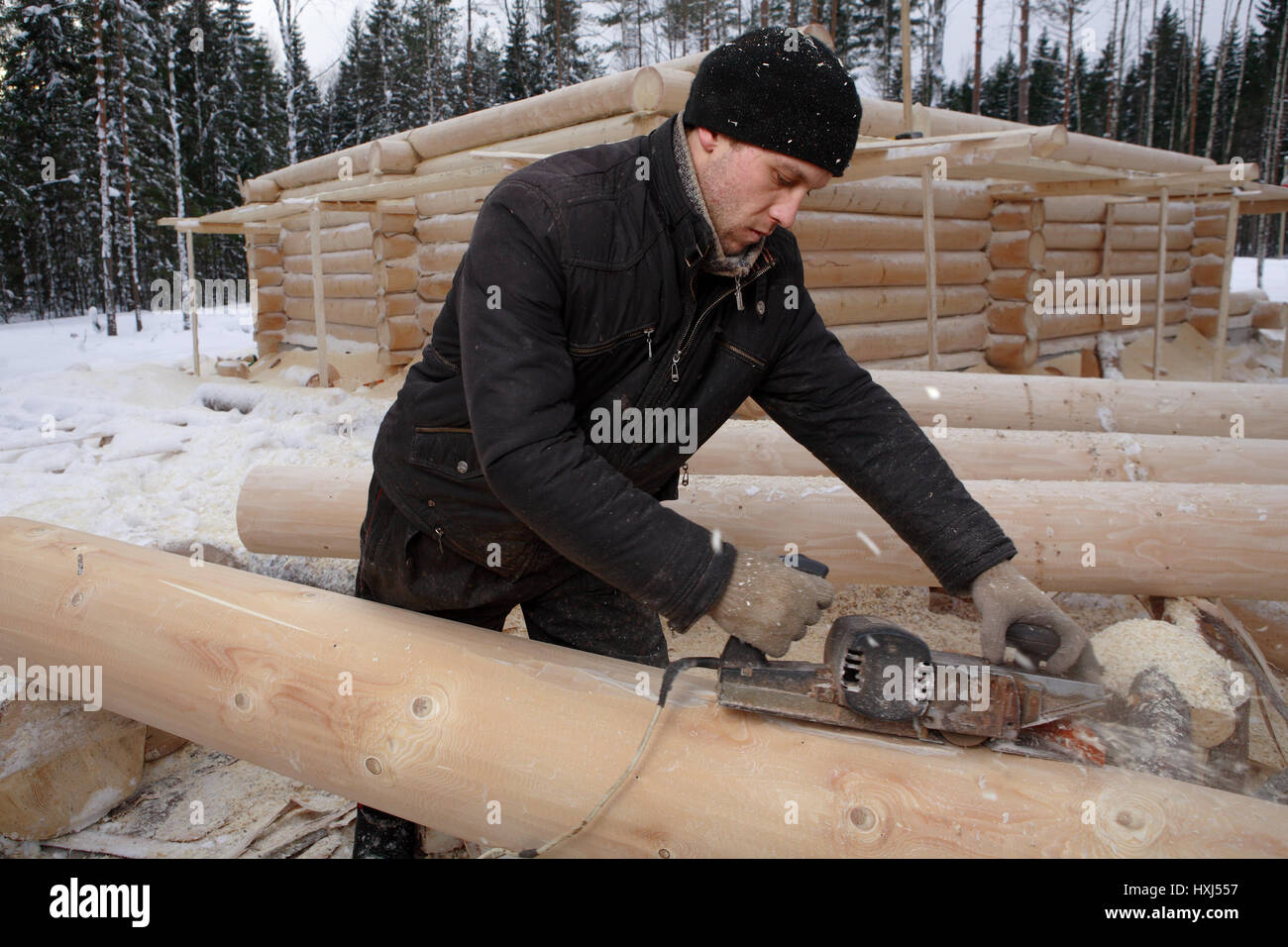 Leningrad Region, Russia - February 2, 2010: Construction of a log ...