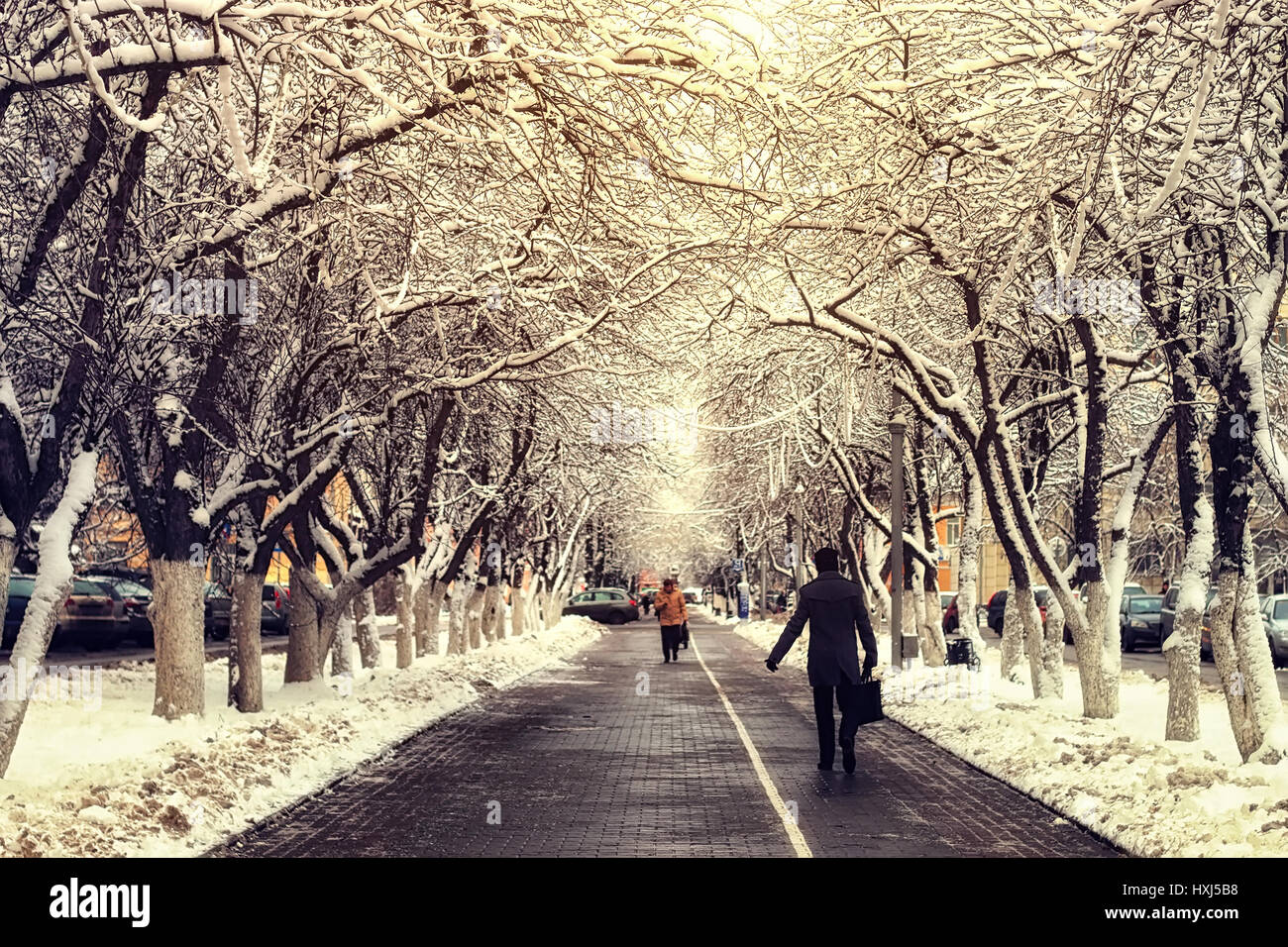 pedestrian pathway tree winter Stock Photo - Alamy