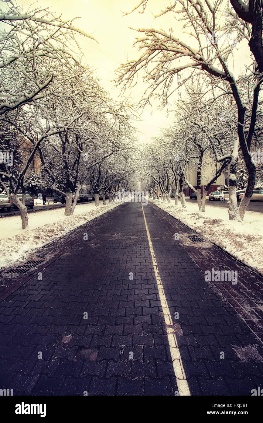 pedestrian pathway tree winter Stock Photo - Alamy