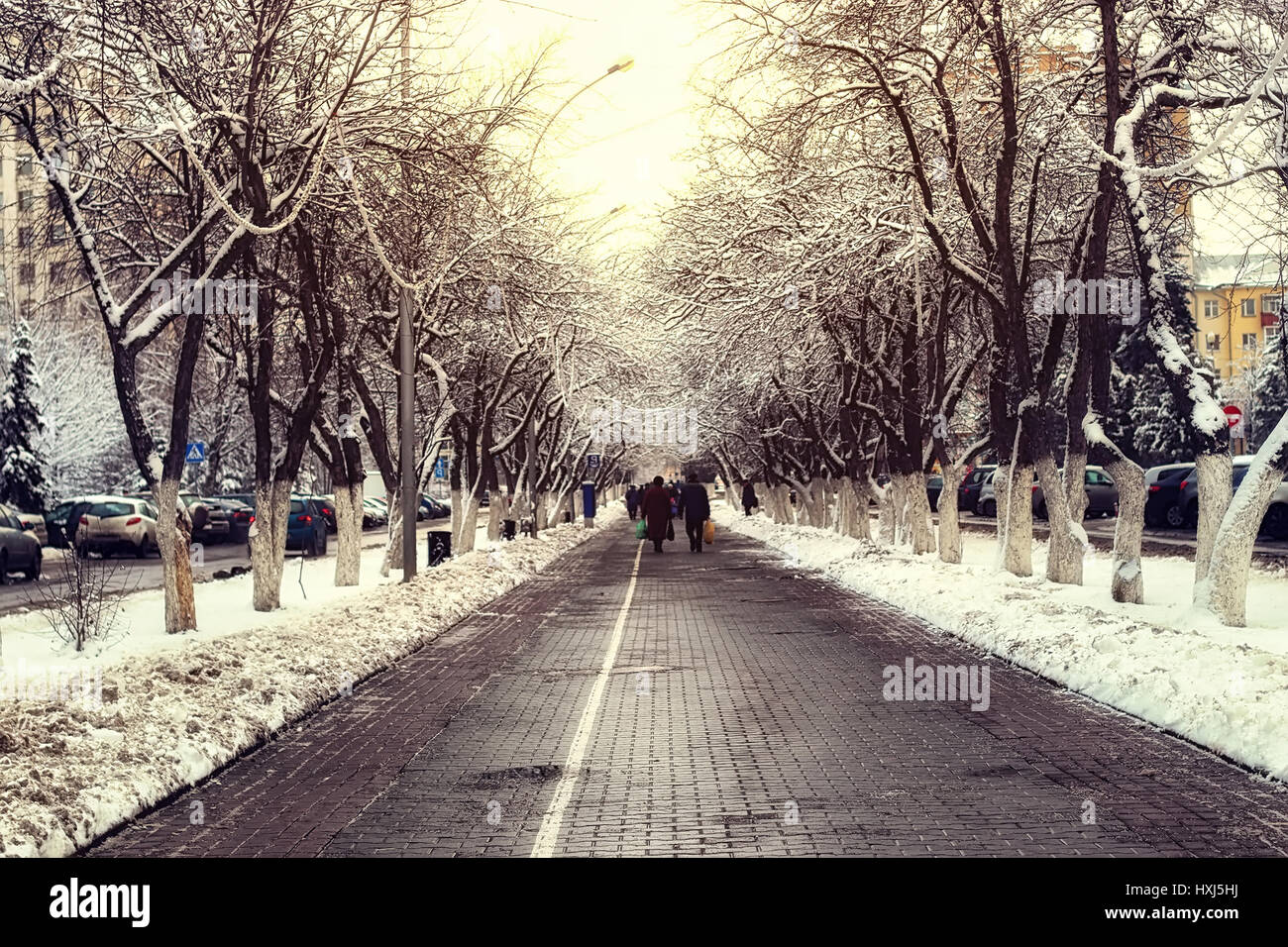 pedestrian pathway tree winter Stock Photo - Alamy