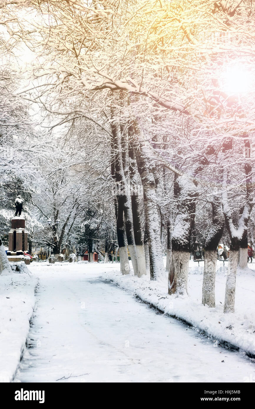 park alley tree way winter Stock Photo - Alamy