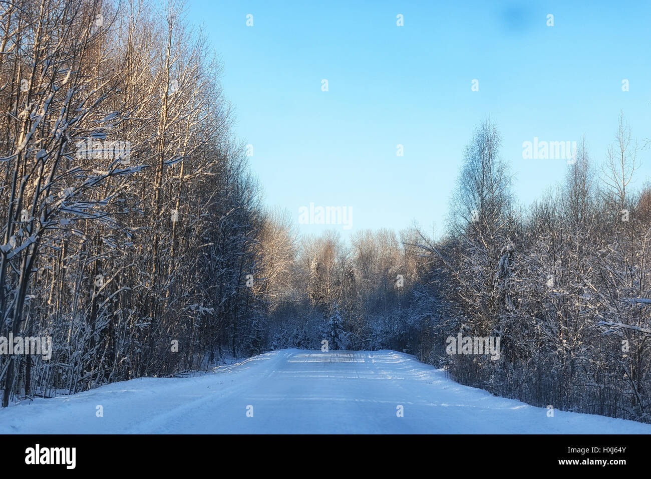 winter road landscape sunlight snow Stock Photo - Alamy