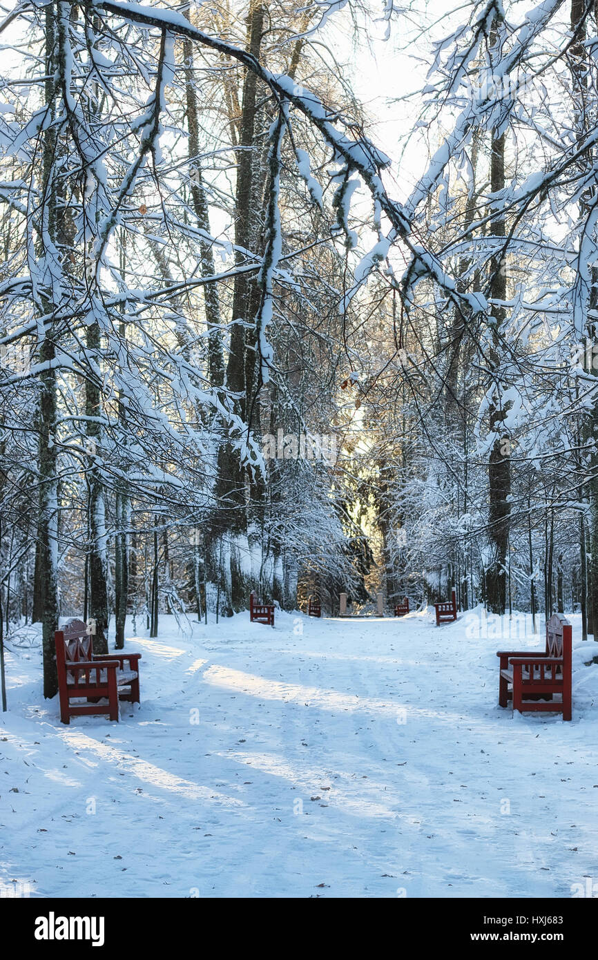 wood bench in winter Stock Photo - Alamy