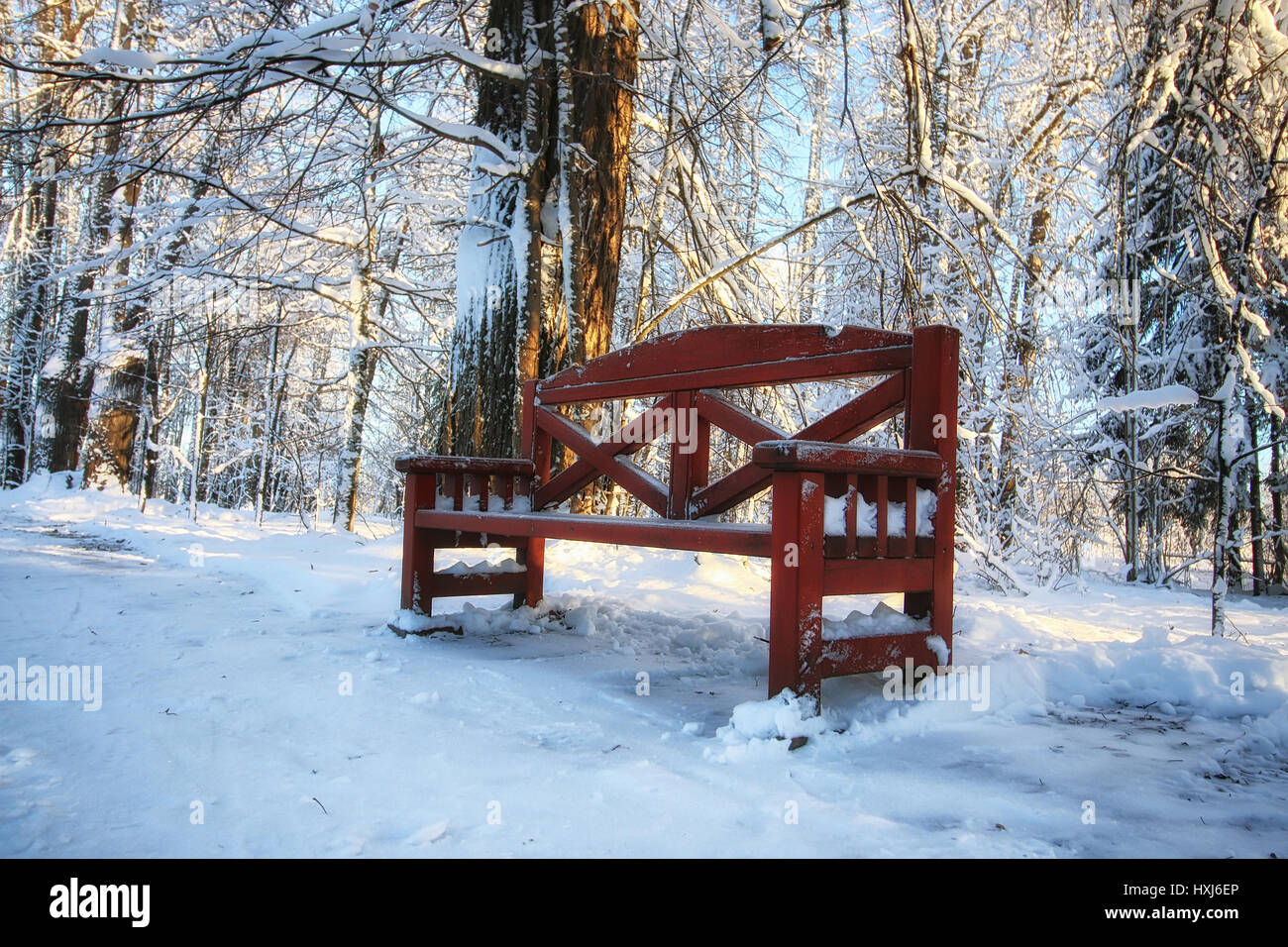 wood bench in winter Stock Photo - Alamy