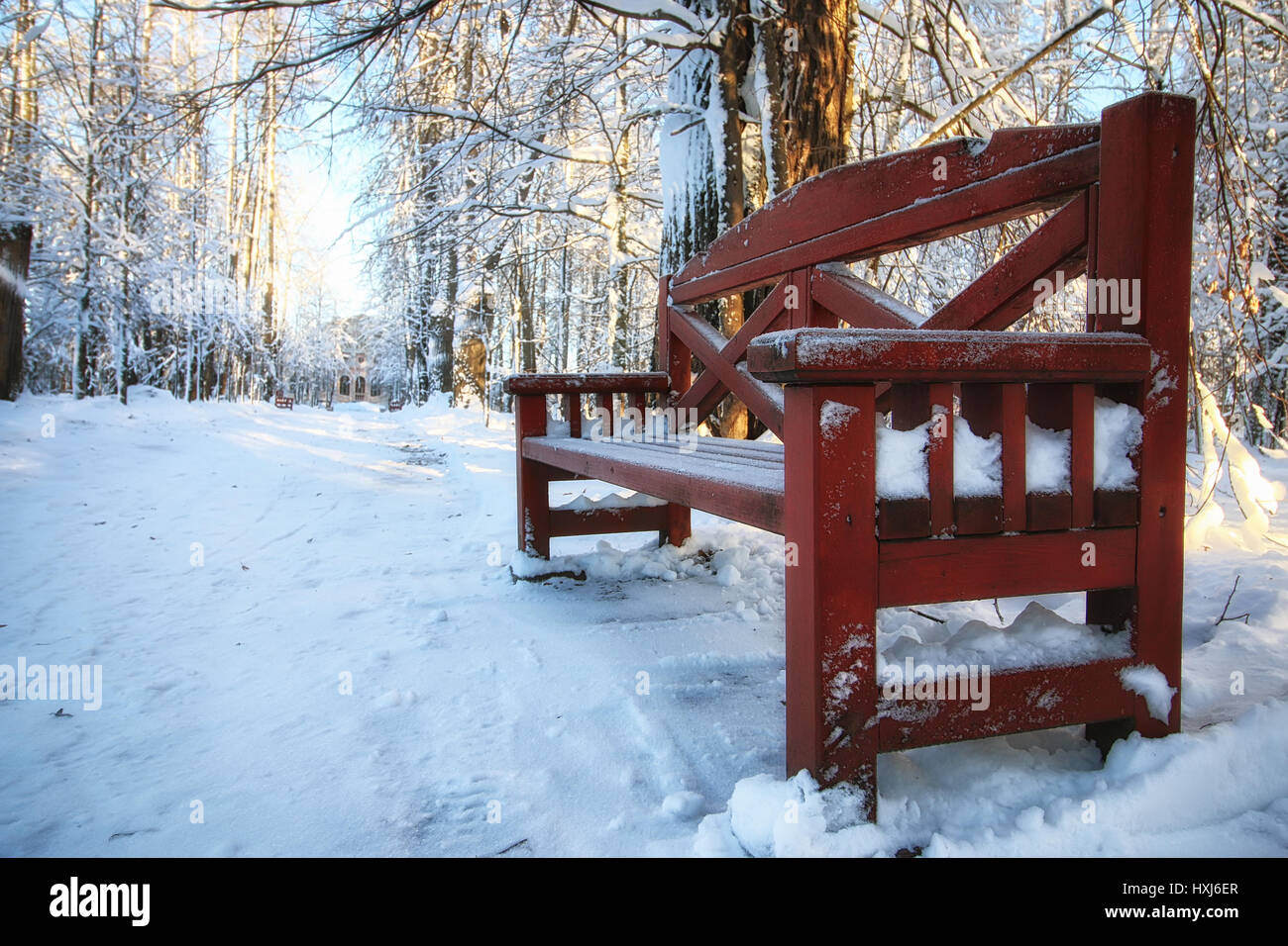 wood bench in winter Stock Photo - Alamy