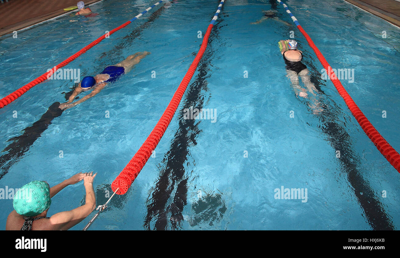 RUSSIAN FEDERATION, SAINT PETERSBURG - OCTOBER 24, 2013: Women swimmers ...