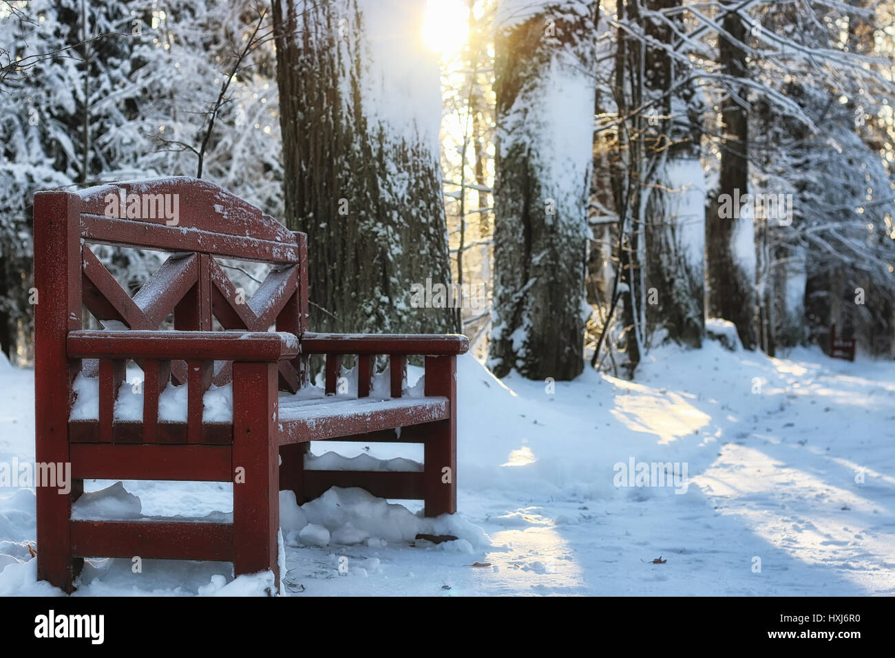 wood bench in winter Stock Photo - Alamy
