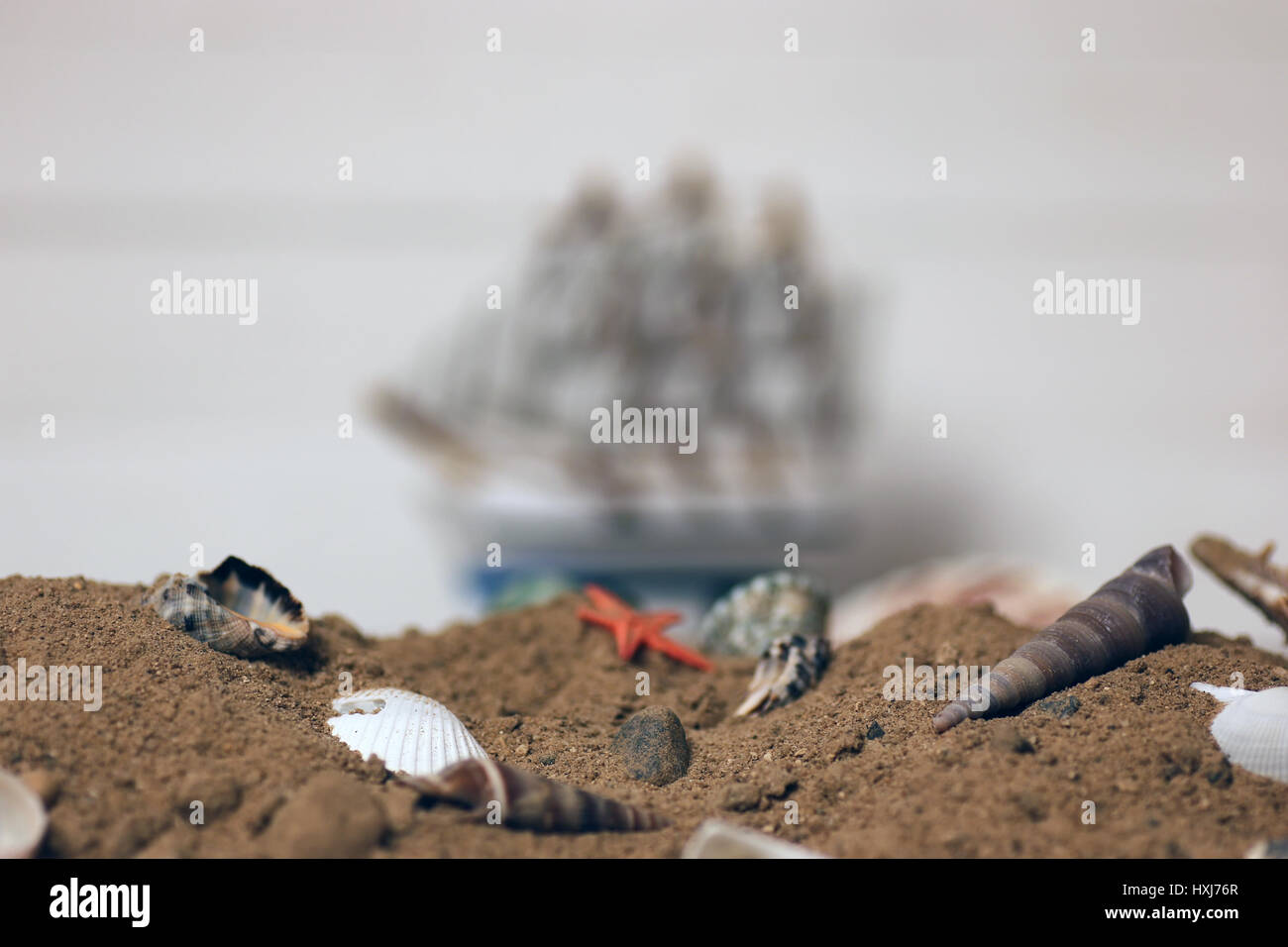 sand shell and sail in sea Stock Photo - Alamy