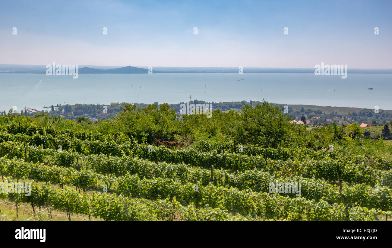 Balaton tourism hi-res stock photography and images - Alamy