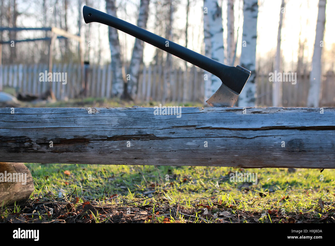 axe in wood outdoor Stock Photo - Alamy