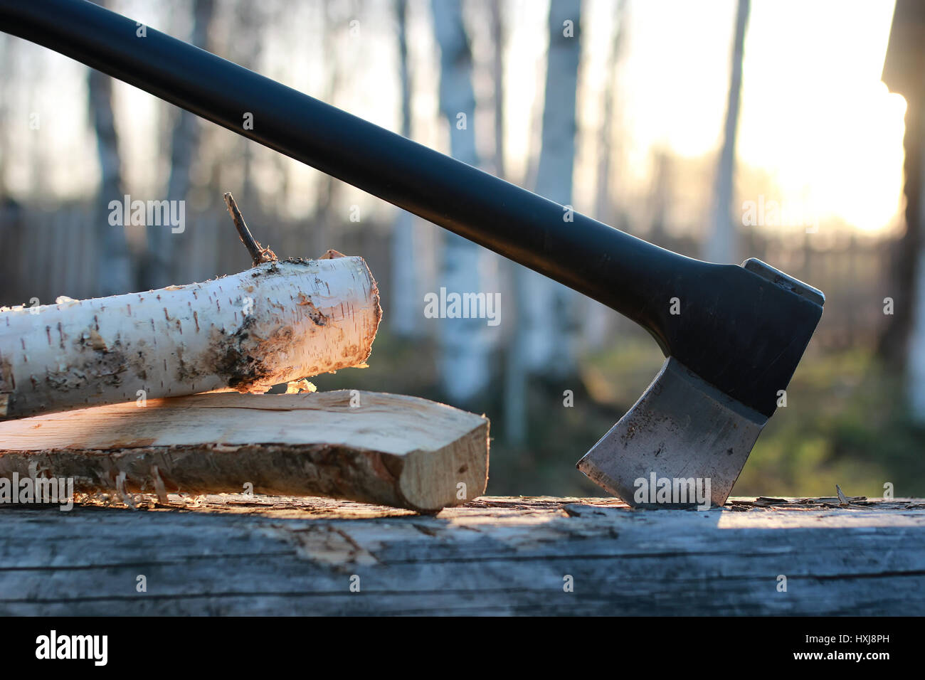axe in wood outdoor Stock Photo - Alamy