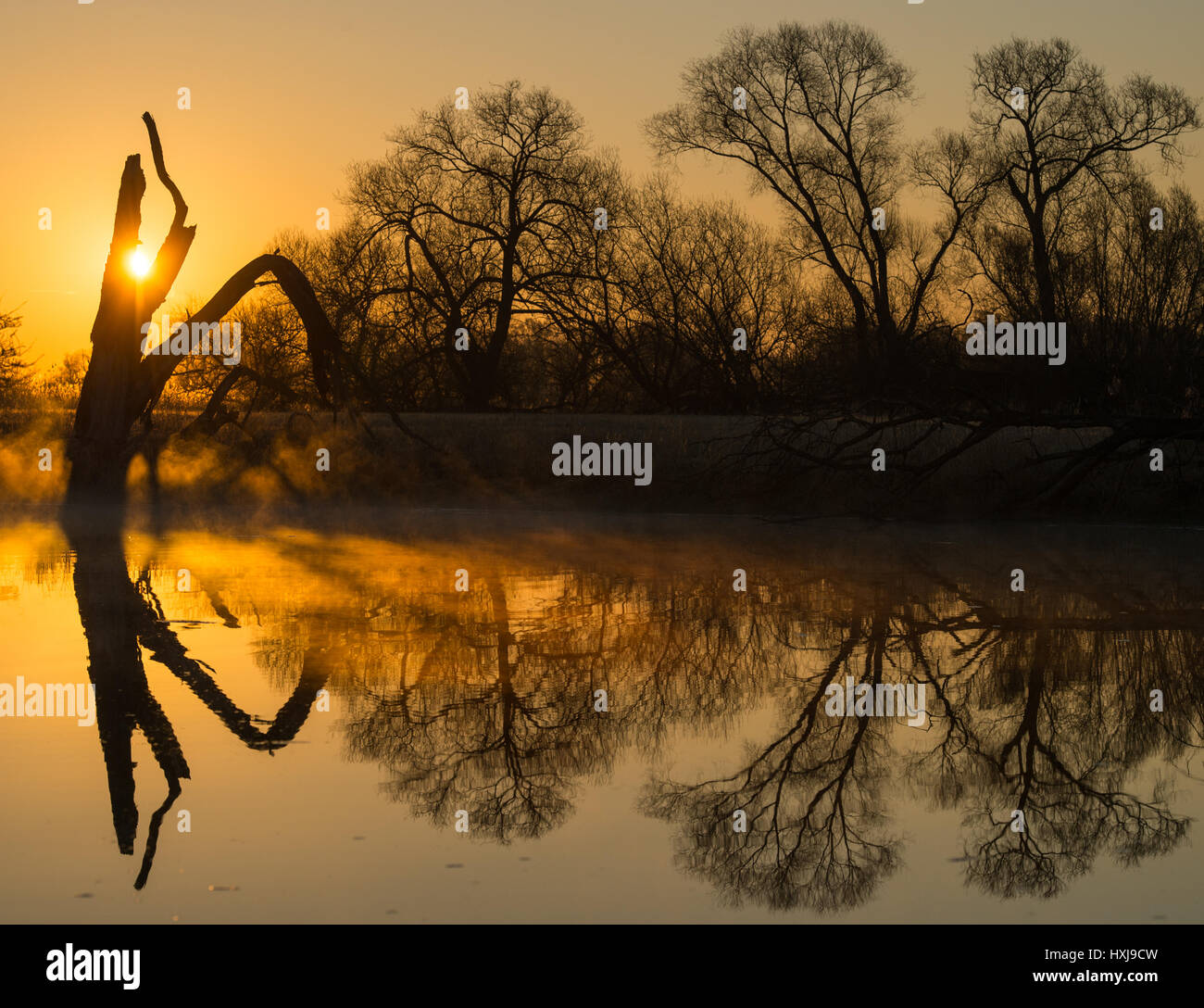 Lebus, Germany. 28th Mar, 2017. Dawn reflections in the water of the Oder river at the German ...
