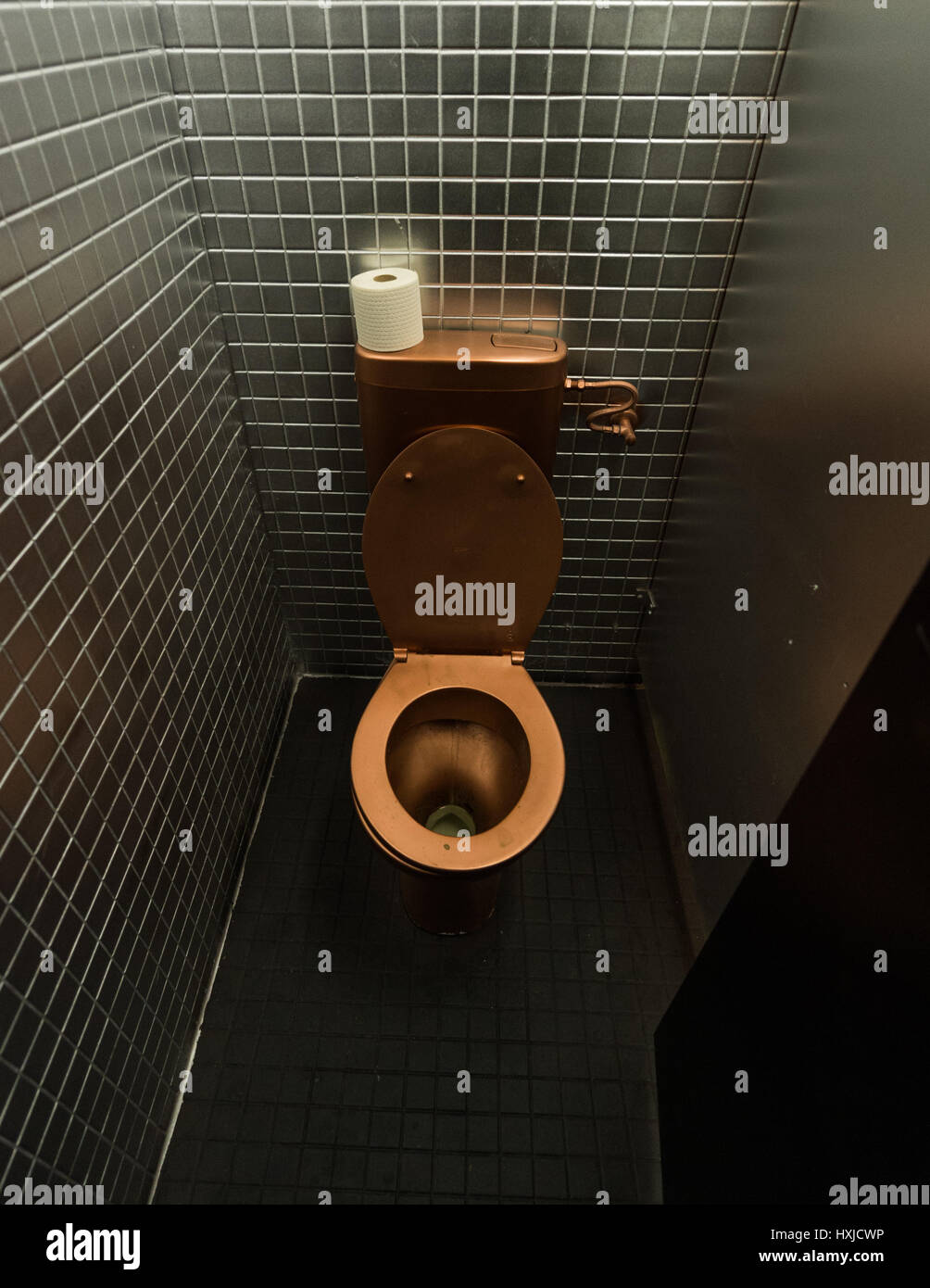 Berlin, Germany. 23rd Mar, 2017. A toilet, part of 'The Haus ...