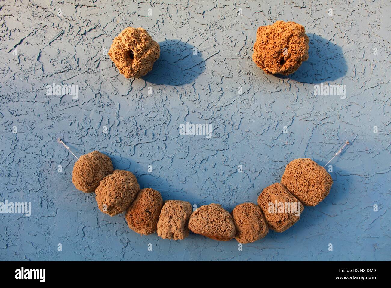 Sponge diving suit hi-res stock photography and images - Alamy