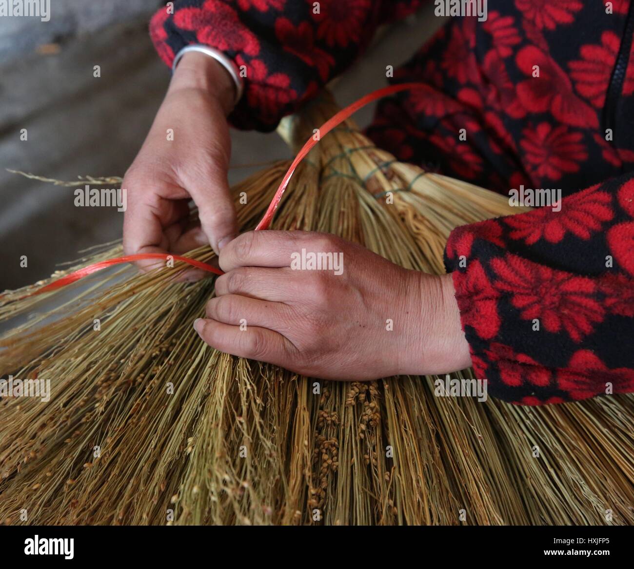 Nanton, Nanton, China. 27th Mar, 2017. Nantong, CHINA-March 27 2017 ...