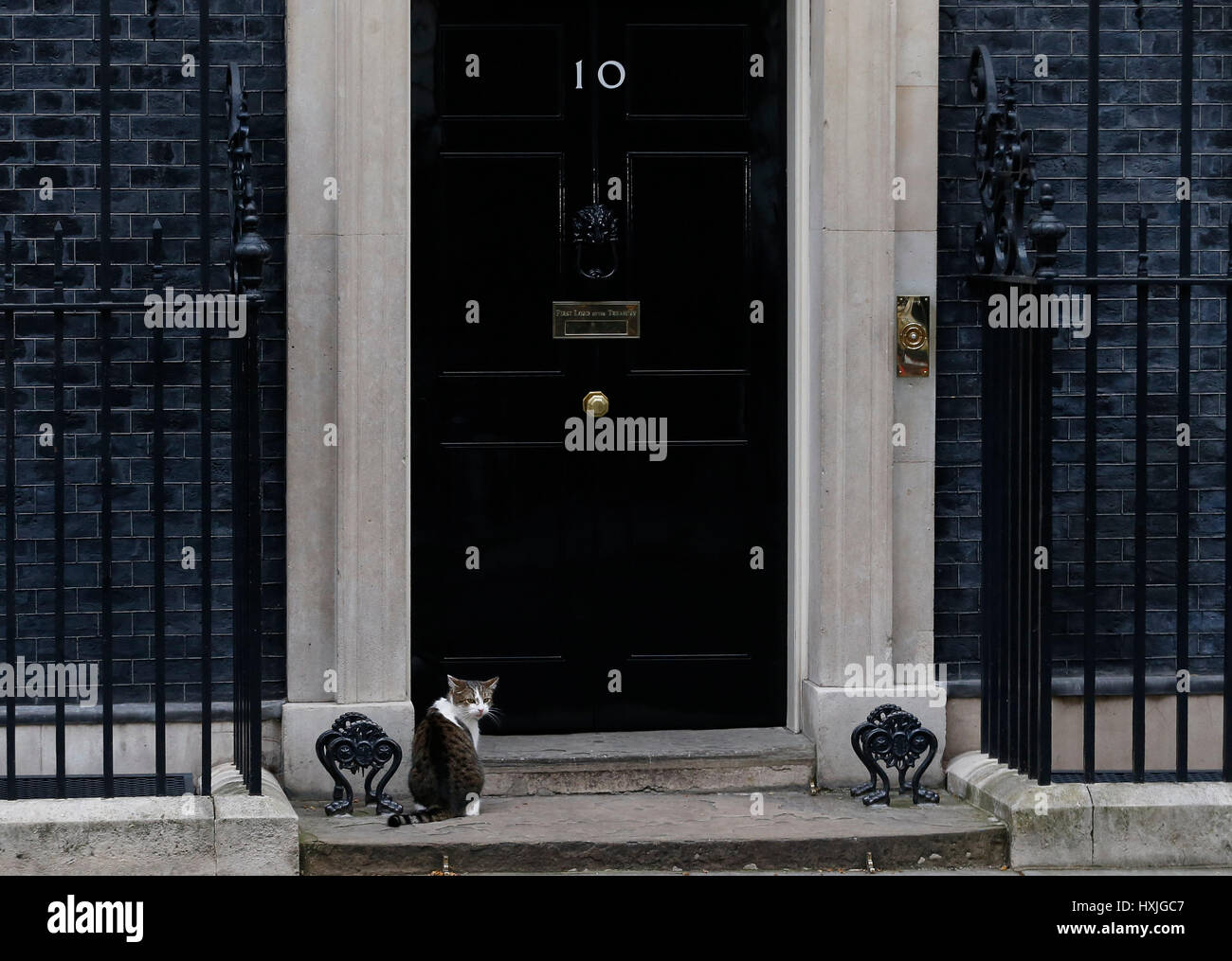 10 downing street cabinet room hi-res stock photography and images - Alamy