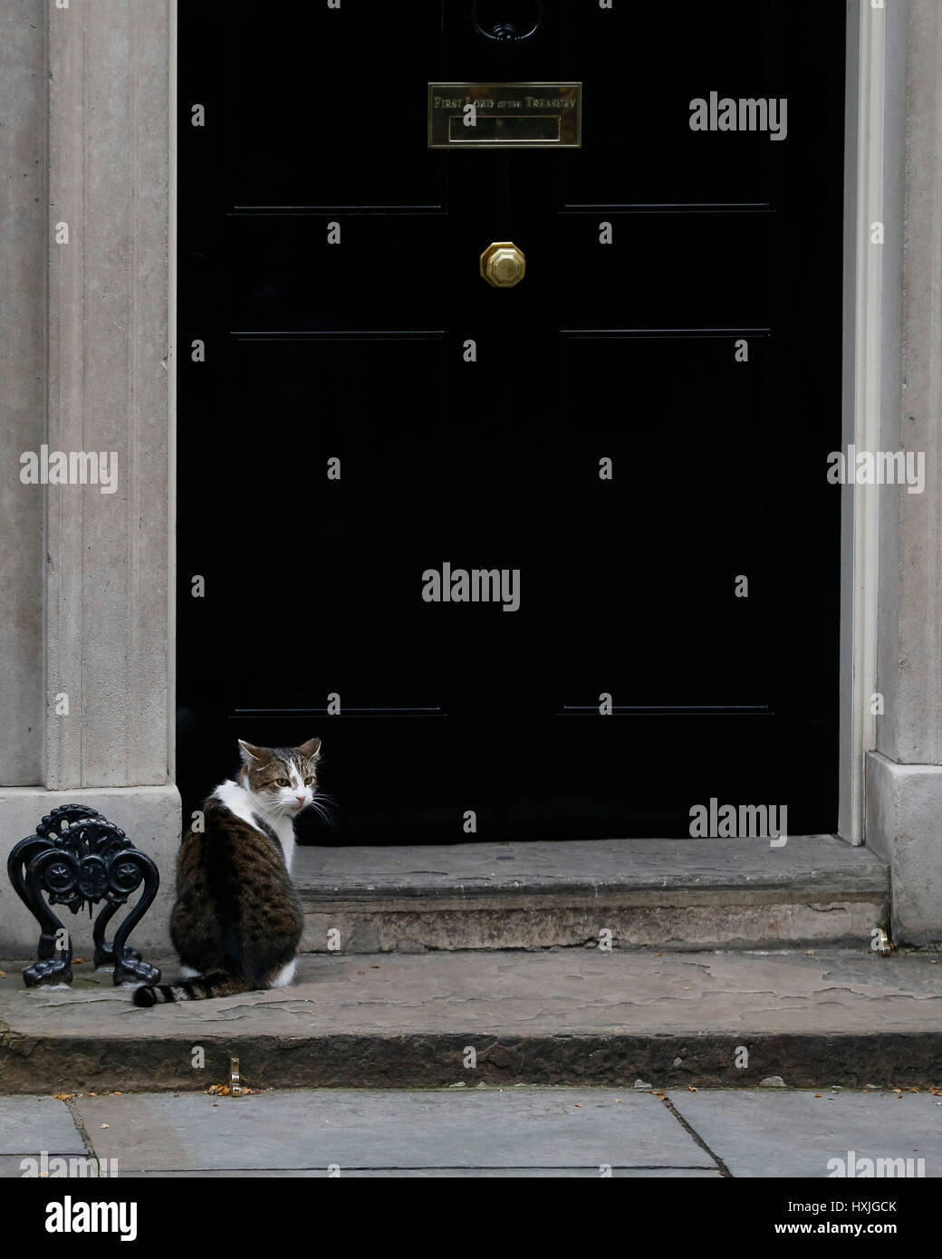 10 downing street cabinet room hi-res stock photography and images - Alamy