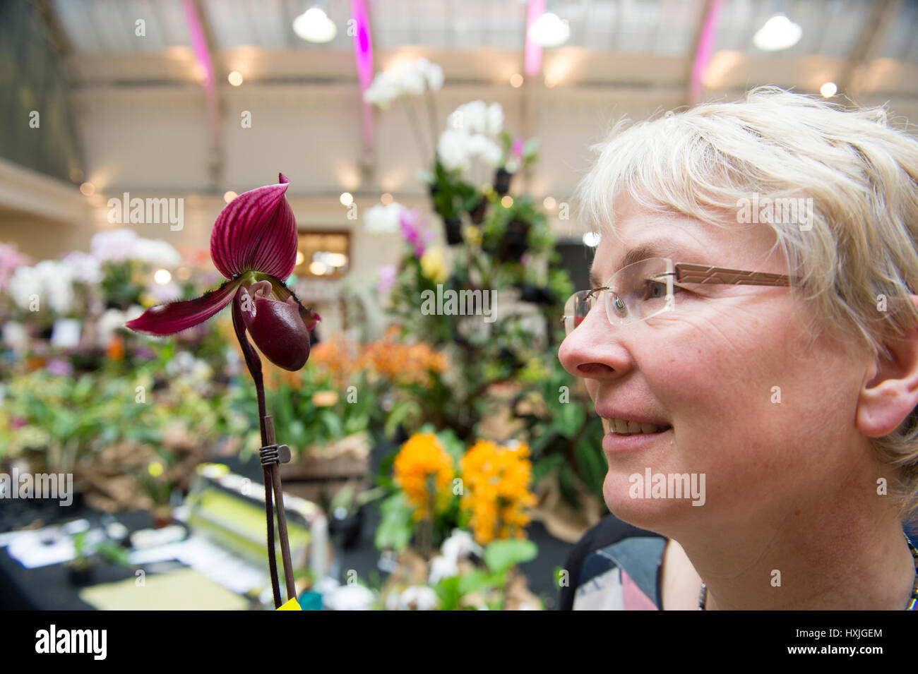 Rhs halls westminster show hi-res stock photography and images - Alamy