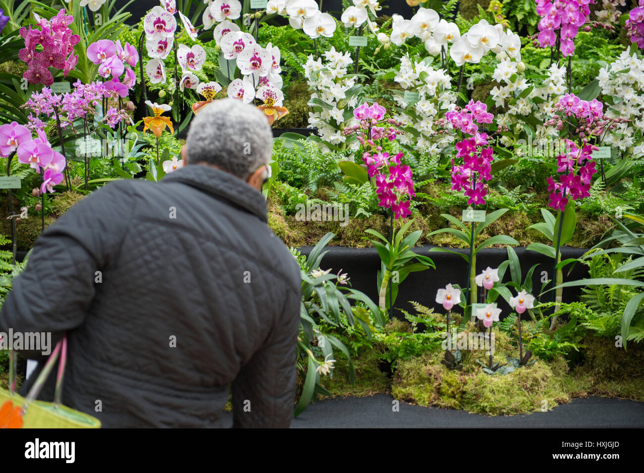 Lawrence and Lindley Halls, Westminster, London, UK. 29th March 2017 ...